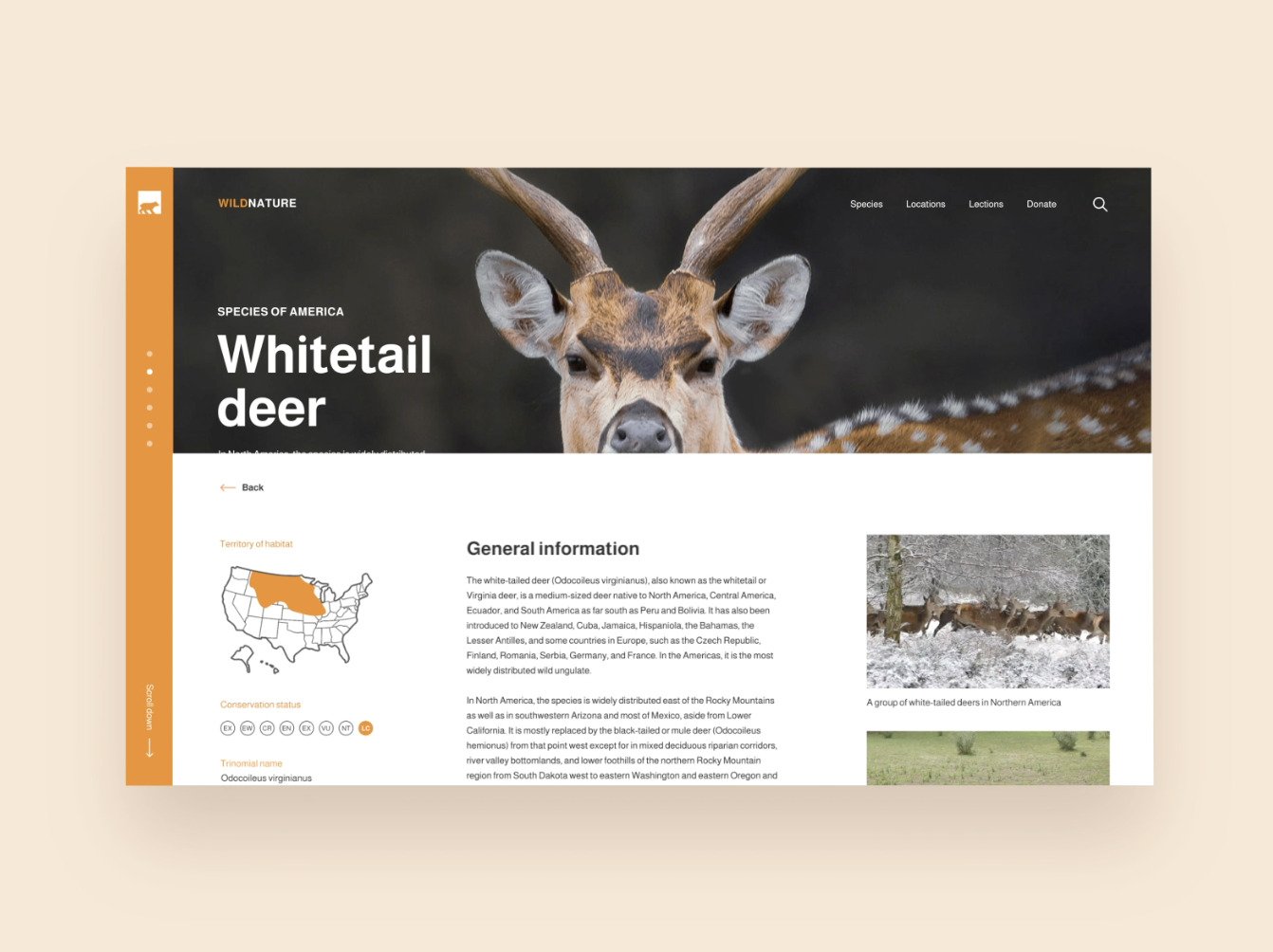Zoology in Education Website Design Concept | Ramotion Agency