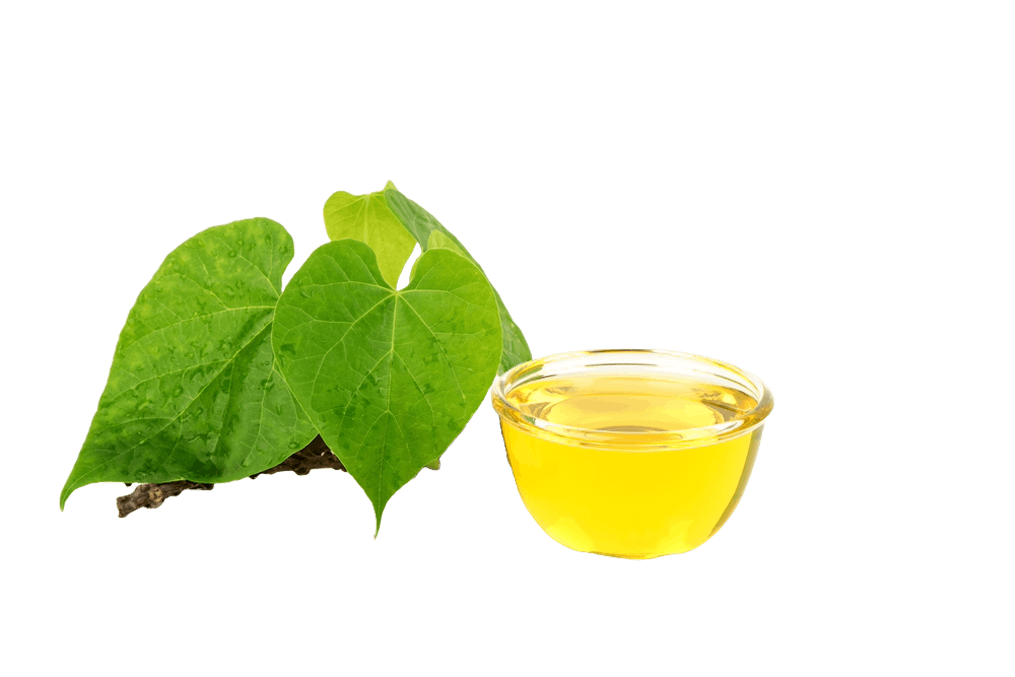 Buy Wellness Products Online - Natural Health Essentials