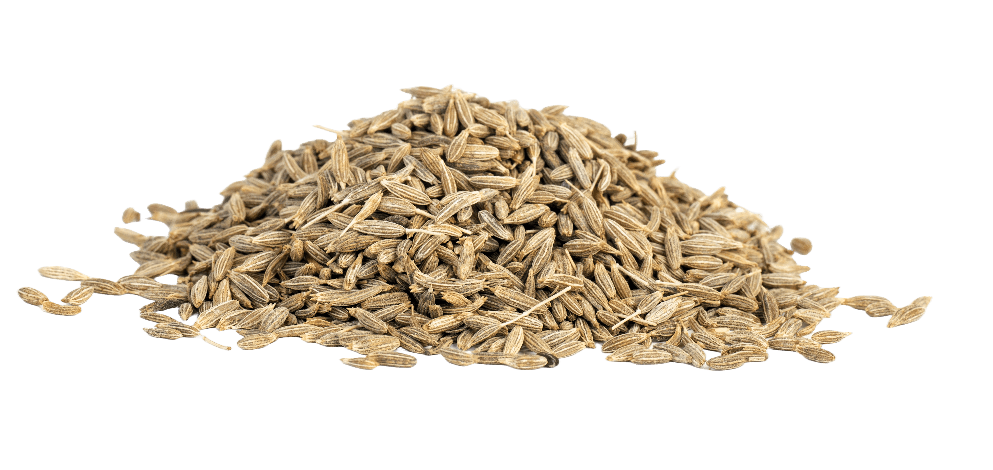 Buy Pain Relief Tablet for Body, Back, Joint, Periods Pain