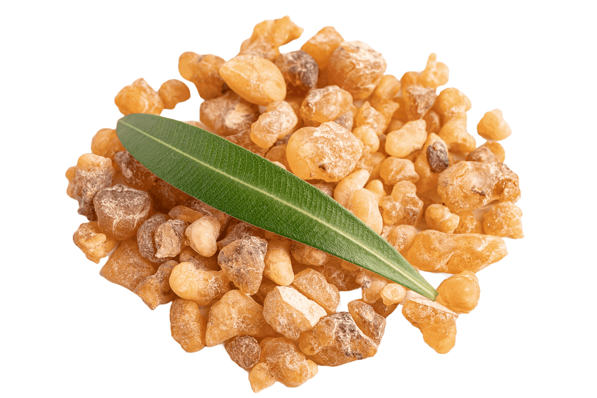 Buy RESET Ultra Potent Gel for Natural & Instant Pain Relief