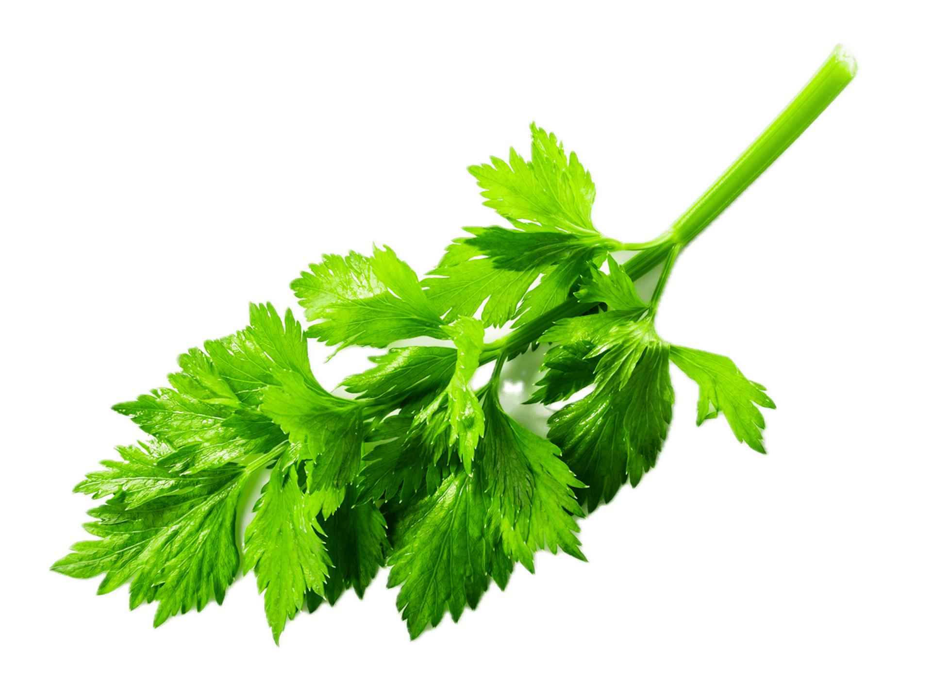 Buy RESET Ultra Potent Gel for Natural & Instant Pain Relief