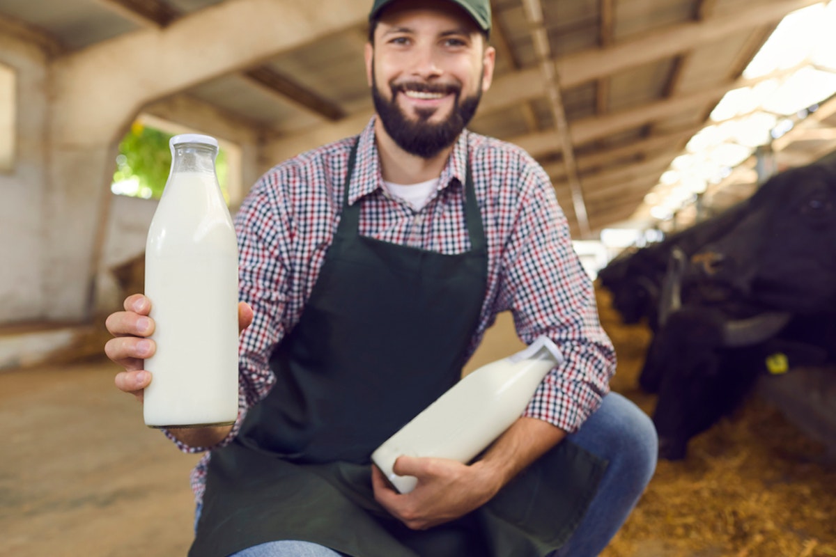 Buffalo Milk: Uses, Benefits, Risks, and Precautions