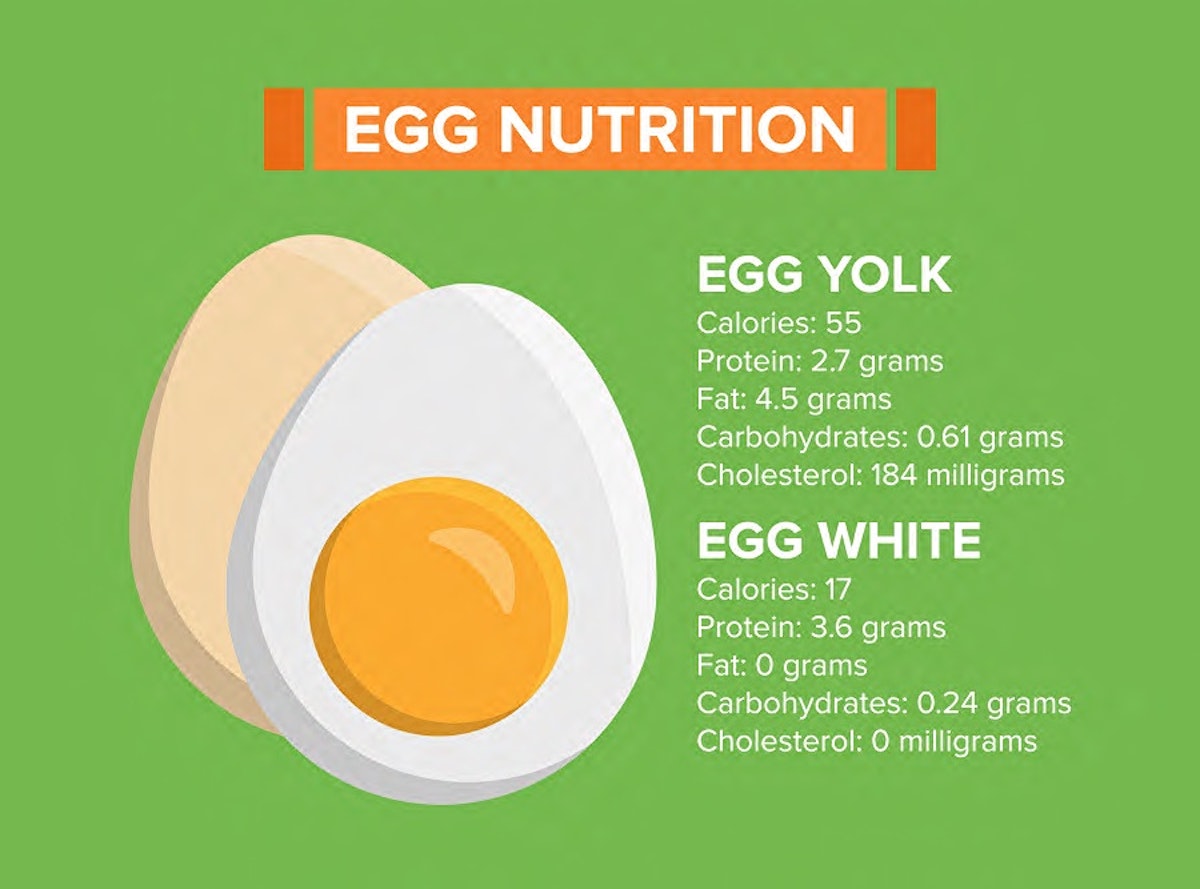 Hard-Boiled Eggs: Nutritional Insights and Benefits