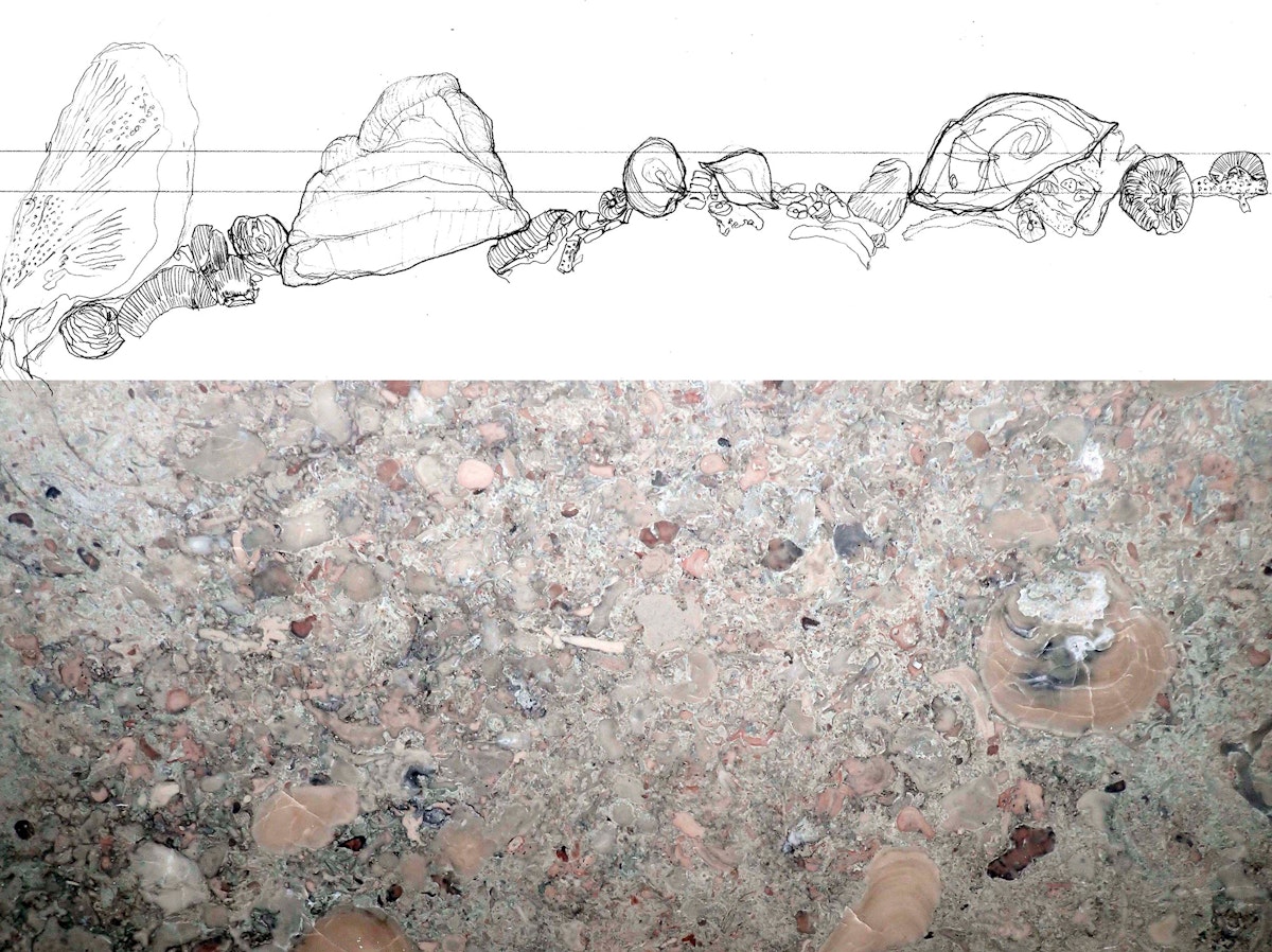 Baltic Art Center — Tuula Närhinen, 2024