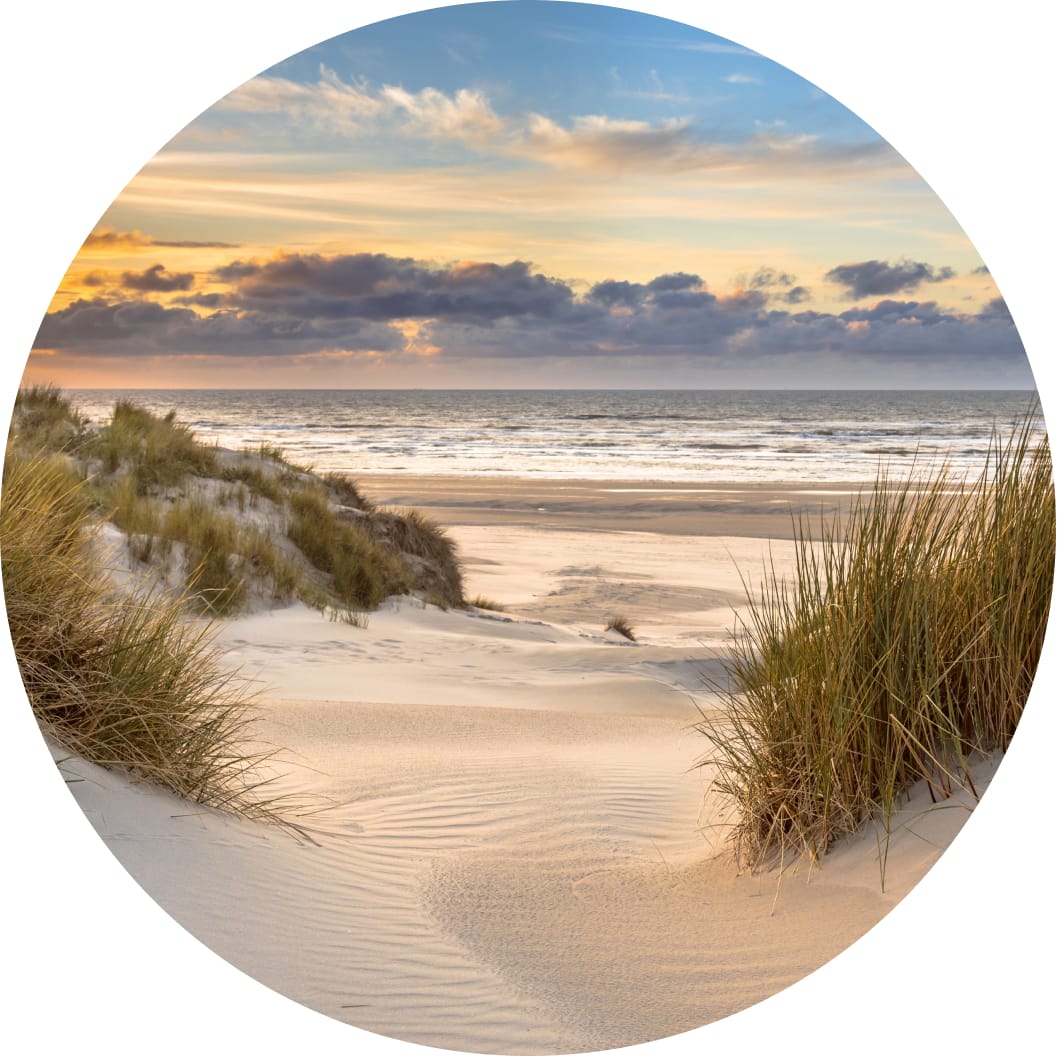 About Arch Medical Group