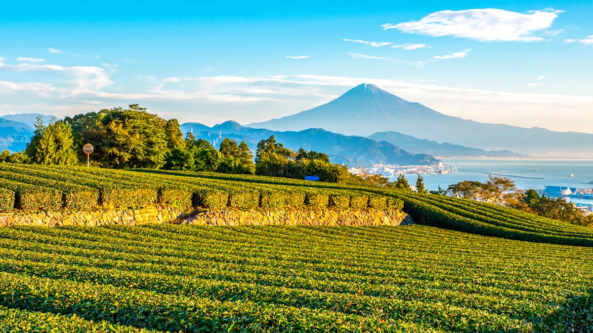 Experience Shimizu: Exclusive Tour for Cruise Ship Passengers - Trip To ...