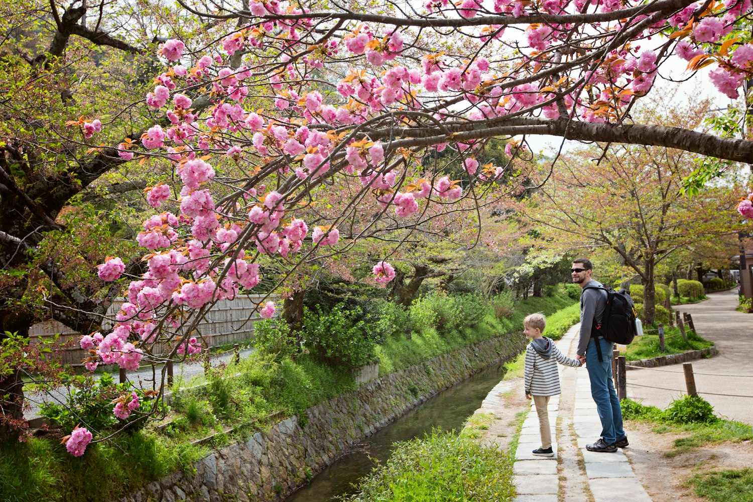 How Many Days To Spend In Kyoto A Traveler s Guide Trip To Japan how-many-days-to-spend-in-kyoto-a-traveler-s-guide-trip-to-japan