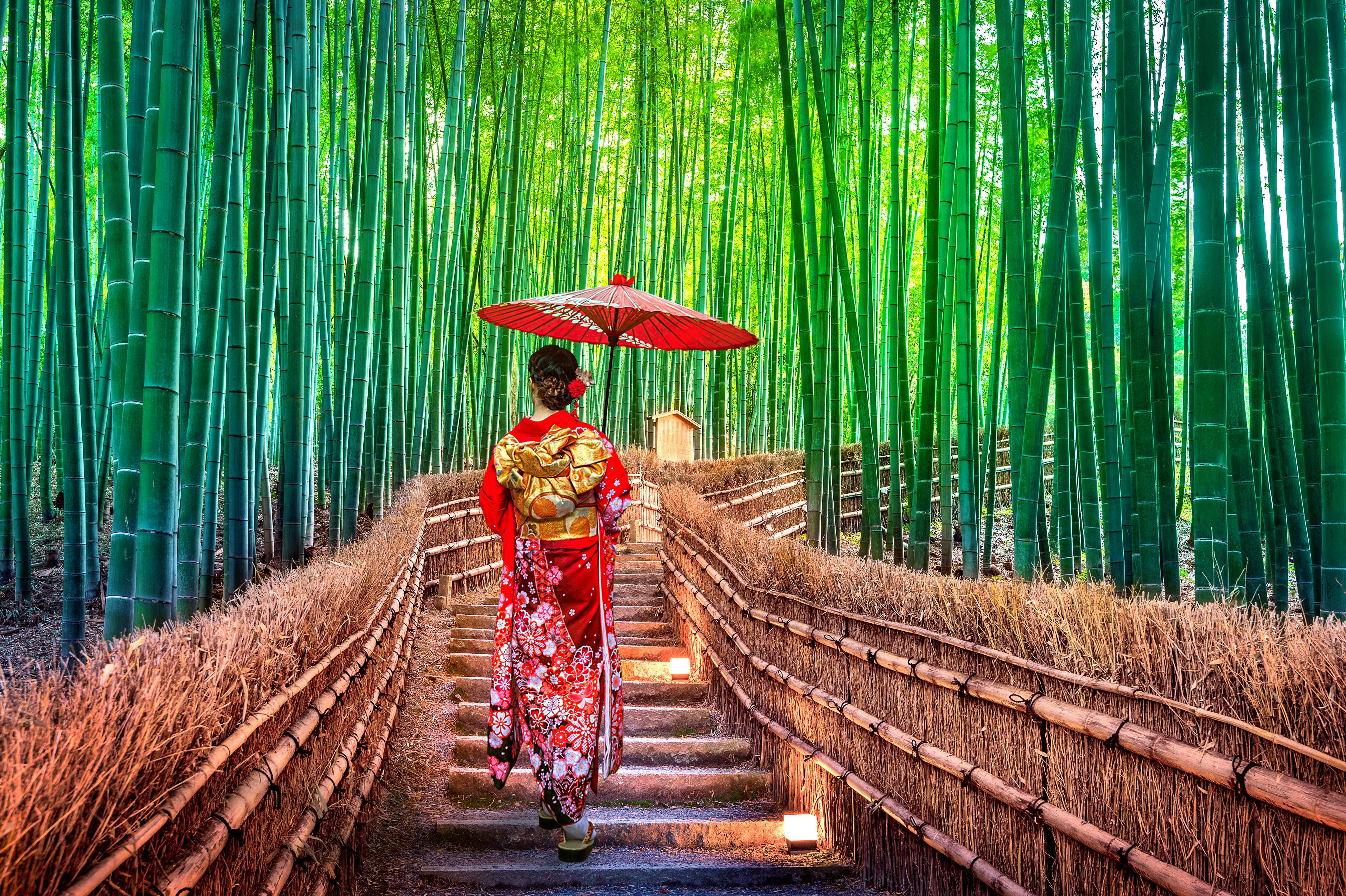 Exclusive Arashiyama Expedition: A Personalized Walking Tour in Kyoto ...