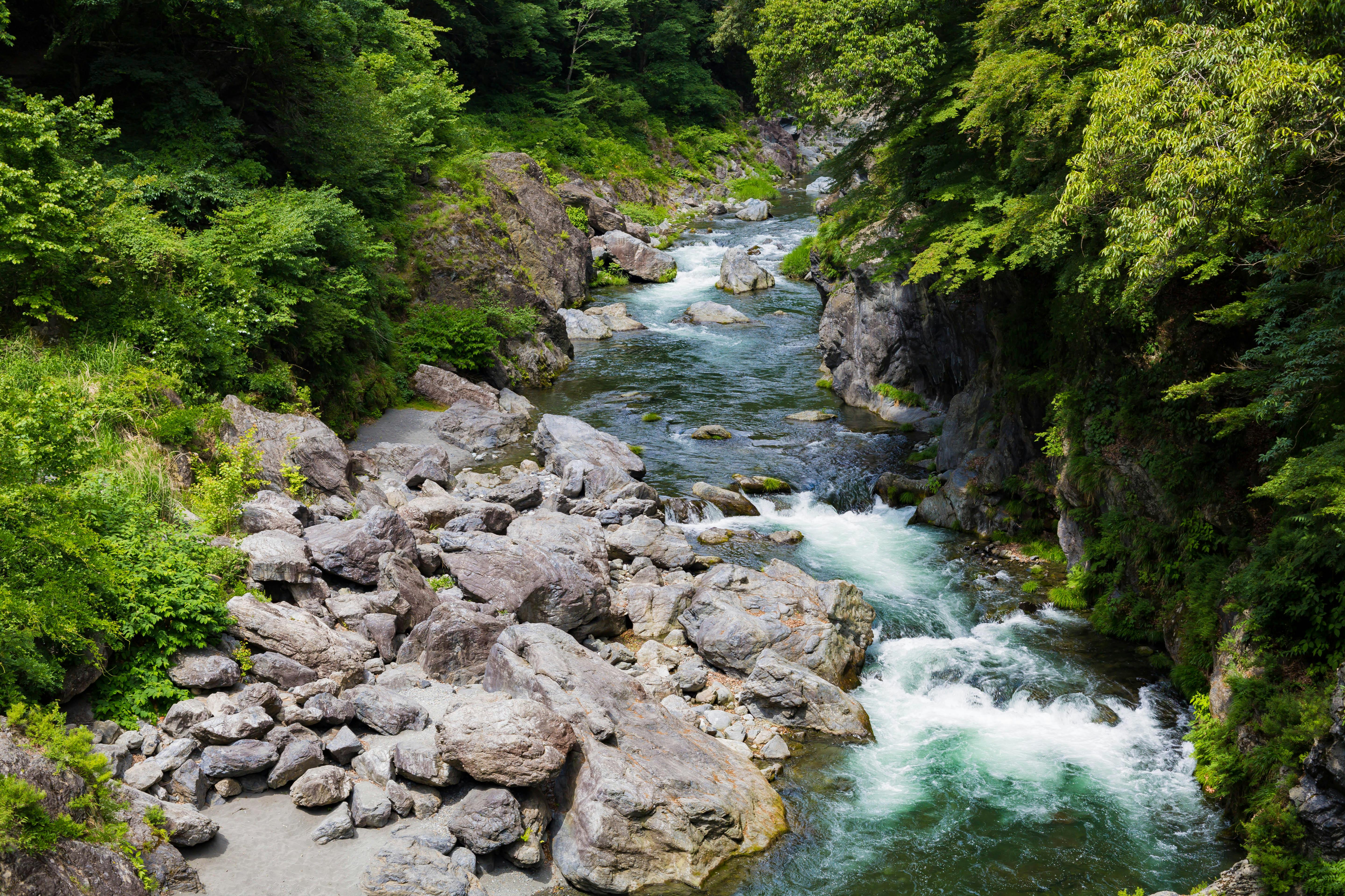 Tokyo's Tama River Thrill: Ome's White Water Rafting Tour - Trip To Japan