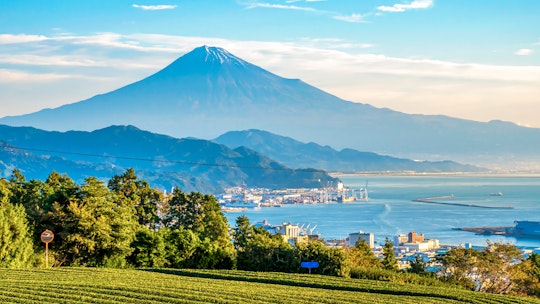 Shimizu Port Half-Day Guided Discovery Tour - Trip To Japan