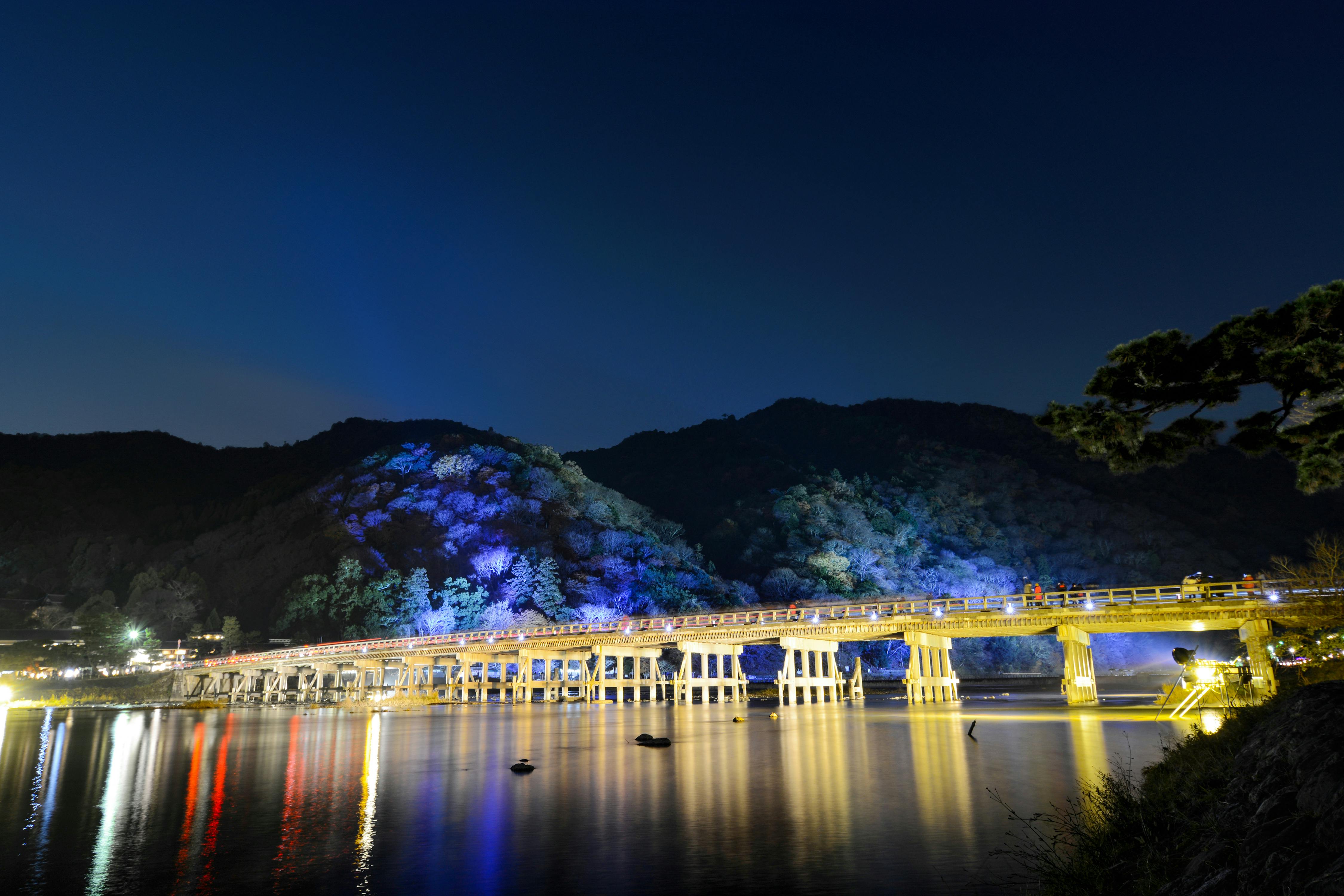 Kyoto Ghost Tour: Dark Tales in the Bamboo Forest - Trip To Japan