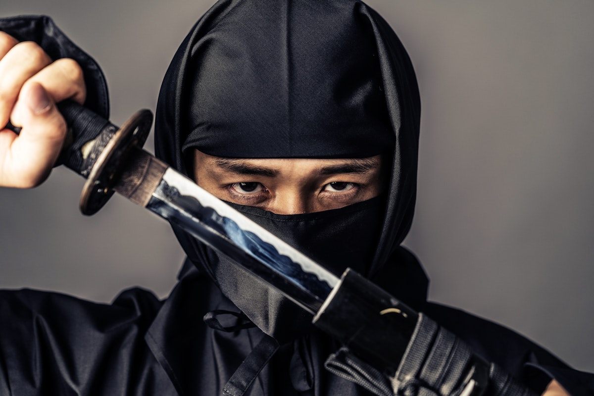 Discover Tokyo Like a Ninja: Guided Walking Tour - Trip To Japan