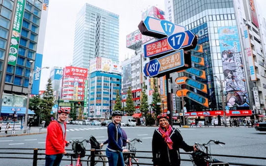 Tokyo Electric Bike Sightseeing Tour - Trip To Japan