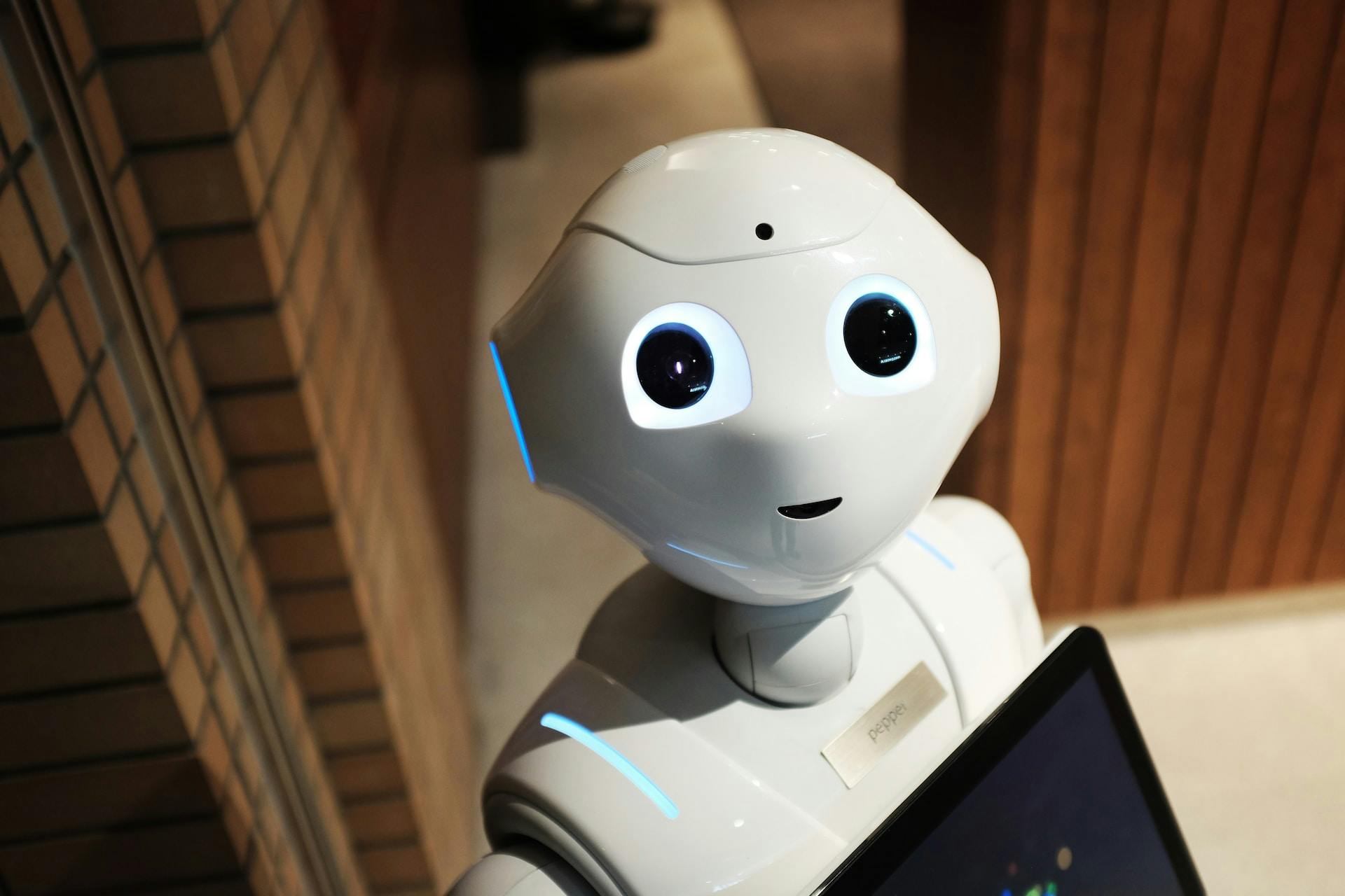 High-Tech Japan: Exploring Japan's Robot and Innovation Marvels - Trip ...