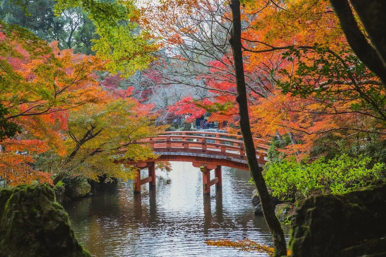 Japan's Best Seasons: A Guide to the Perfect Time to Visit - Trip To Japan