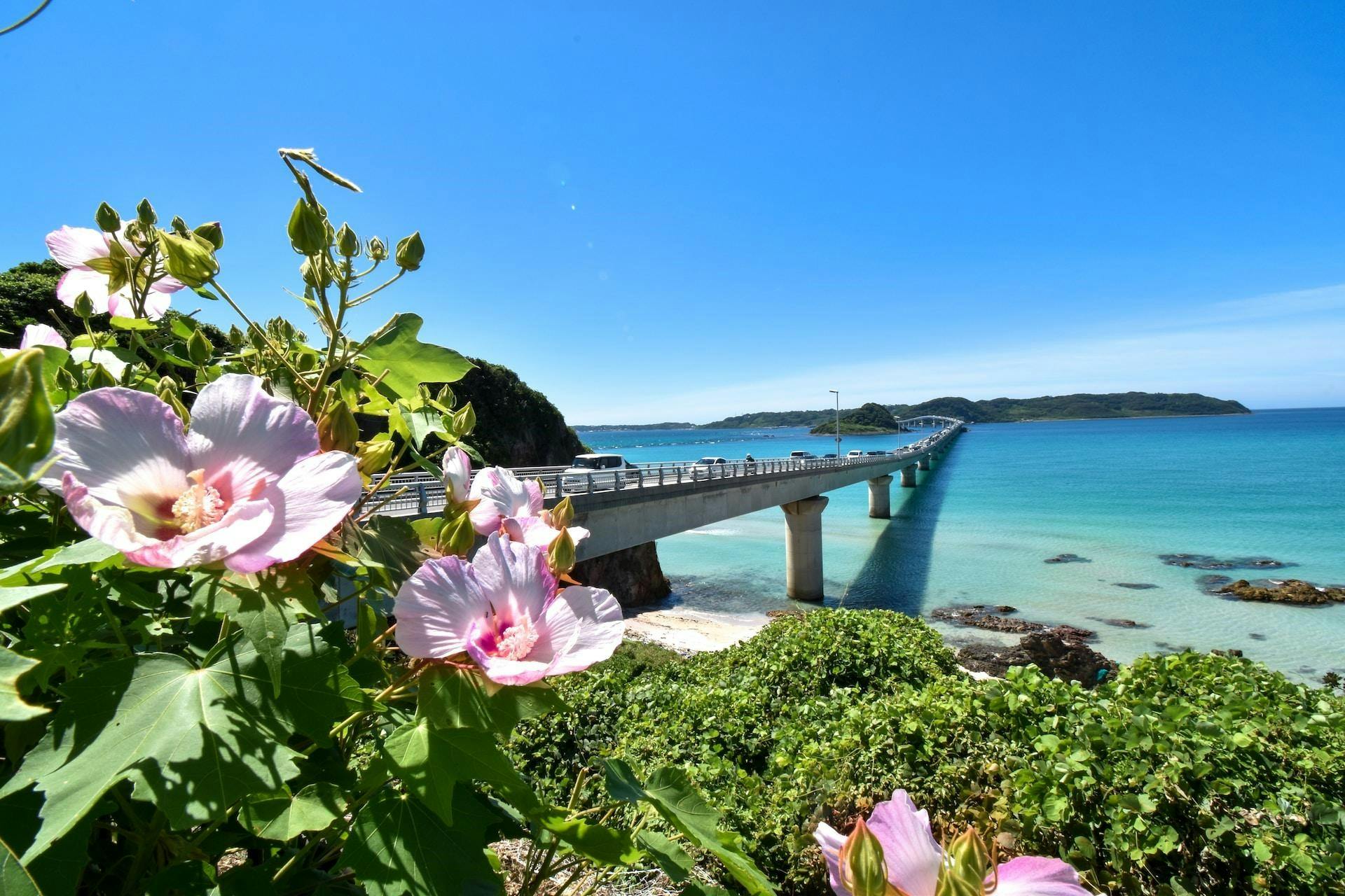 10 Most Scenic Train Routes in Japan - Trip To Japan