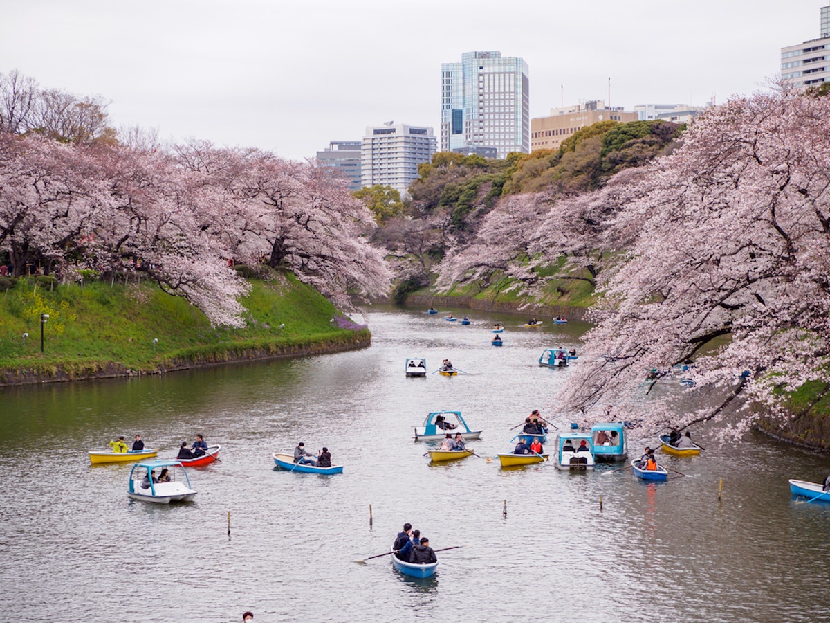 Meguro River: A Scenic Spot for All Seasons - Trip To Japan - Trip To Japan