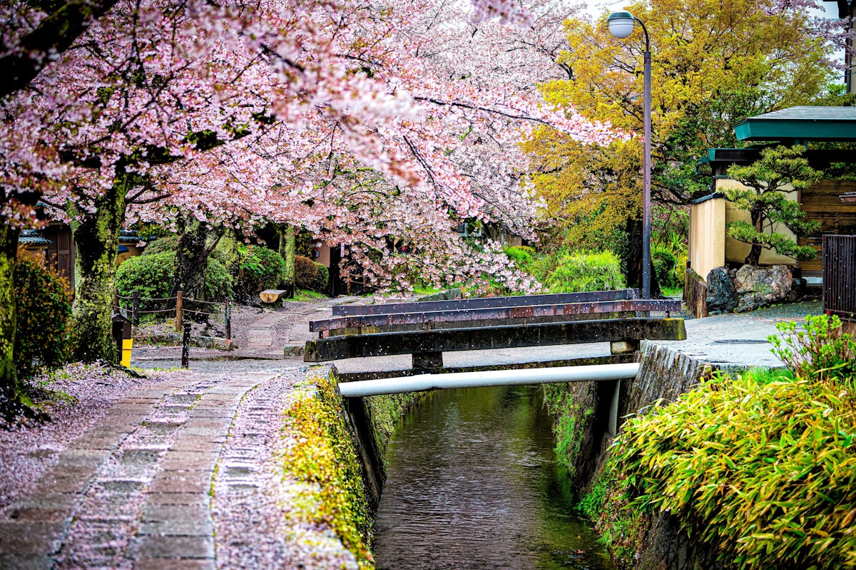 What is The Philosopher's Path & When to Visit - Trip To Japan