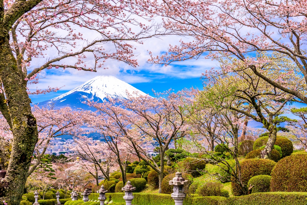 Zen Experience + Gotemba Local Hidden Gems & Culture Tour (6 hours ...