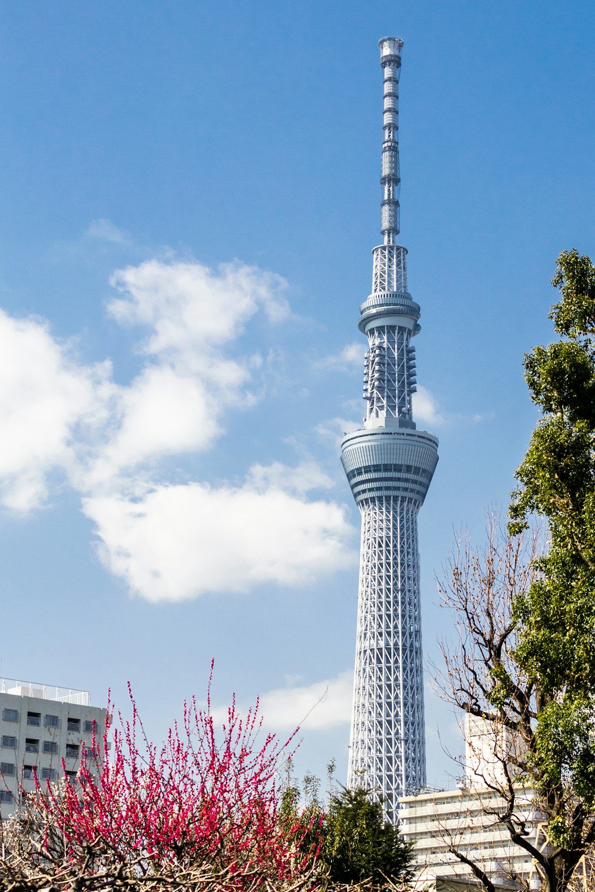 Entry Pass to TOKYO SKYTREE & Planetarium TENKU Experience - Trip To Japan