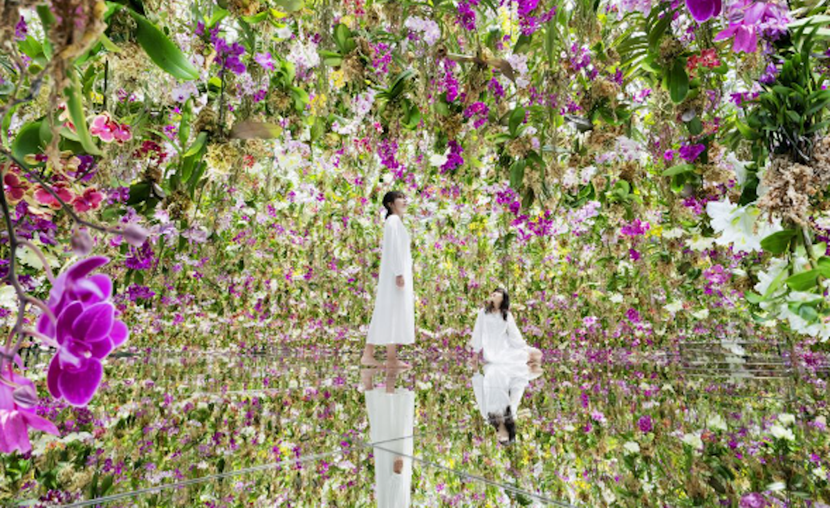 teamLab Planets TOKYO - Trip To Japan
