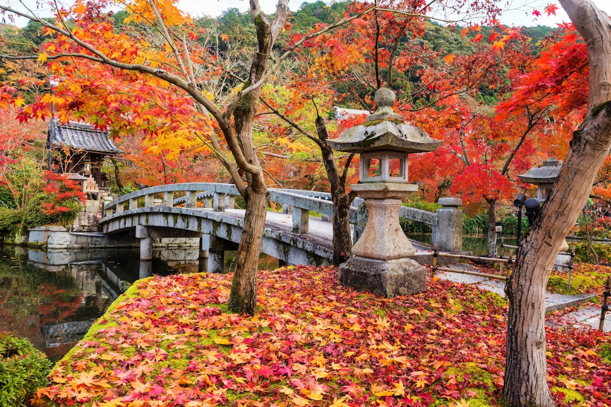 Eikando Zenrin-ji - Trip To Japan