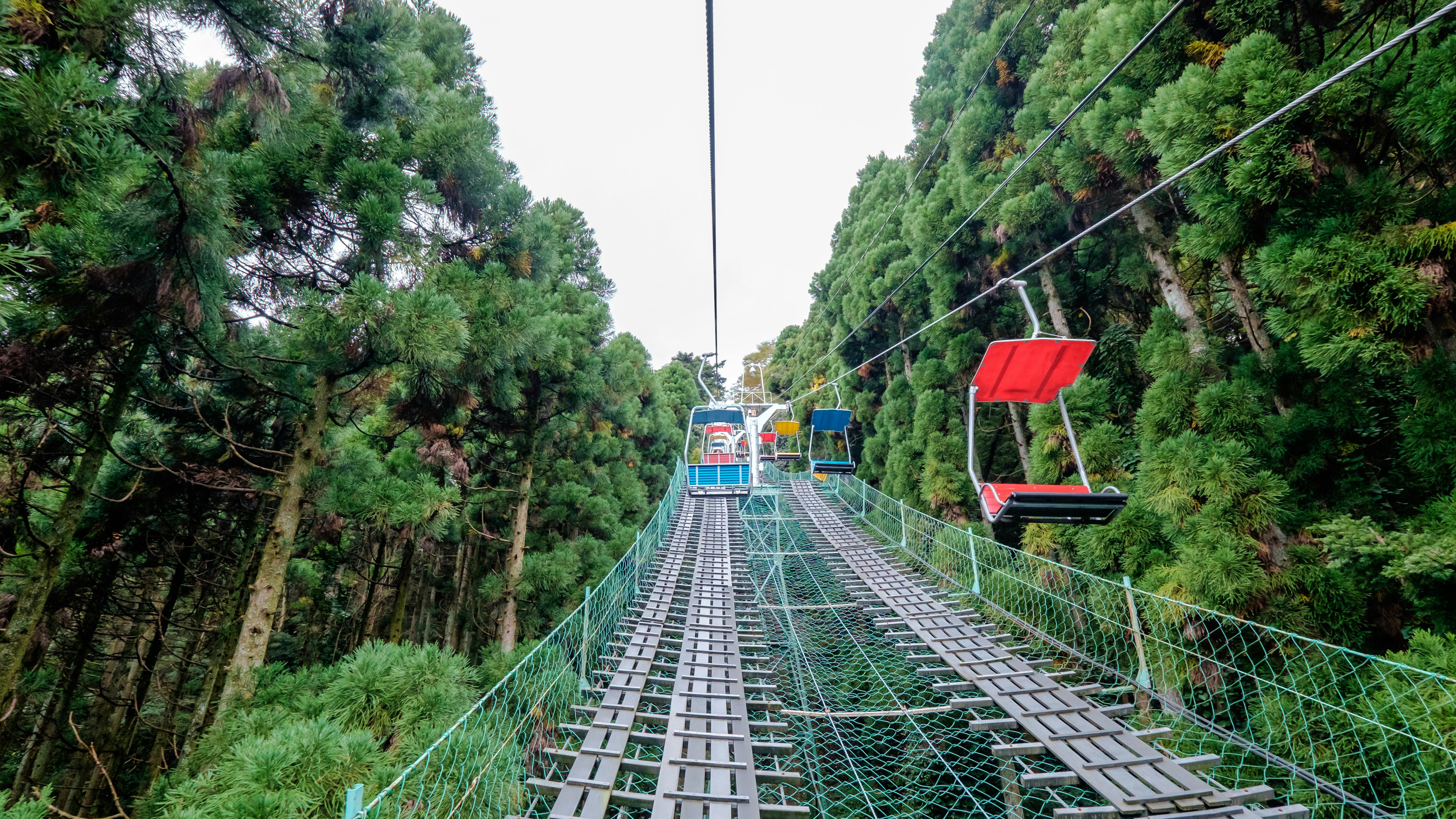 Mt. Takao Day Trip Guide: One Hour from Tokyo - Trip To Japan