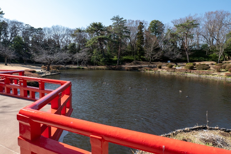 Iwatsuki Joshi Park - Trip To Japan