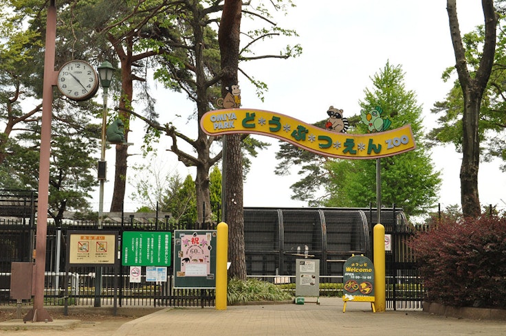 Omiya Park Zoo - Trip To Japan