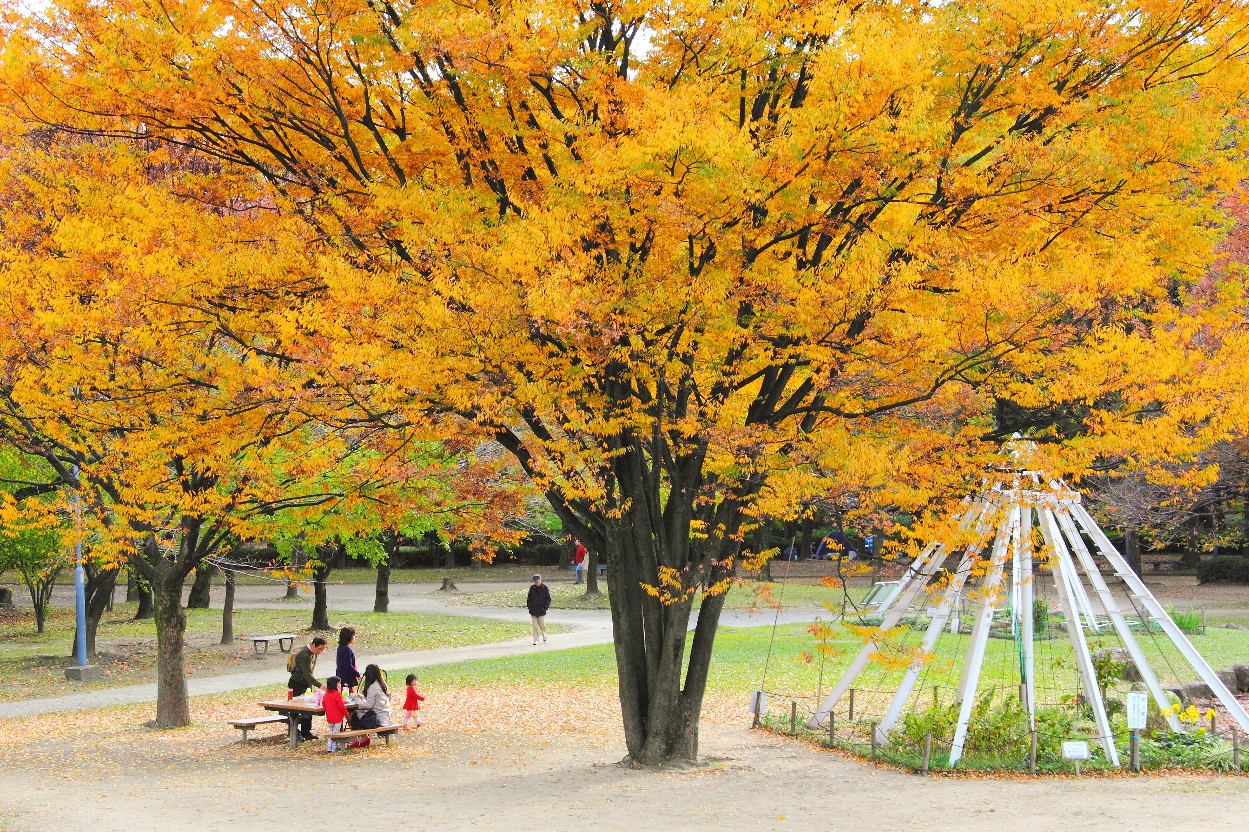 Meijo Park in Nagoya: Highlights, Access & Tips - Trip To Japan