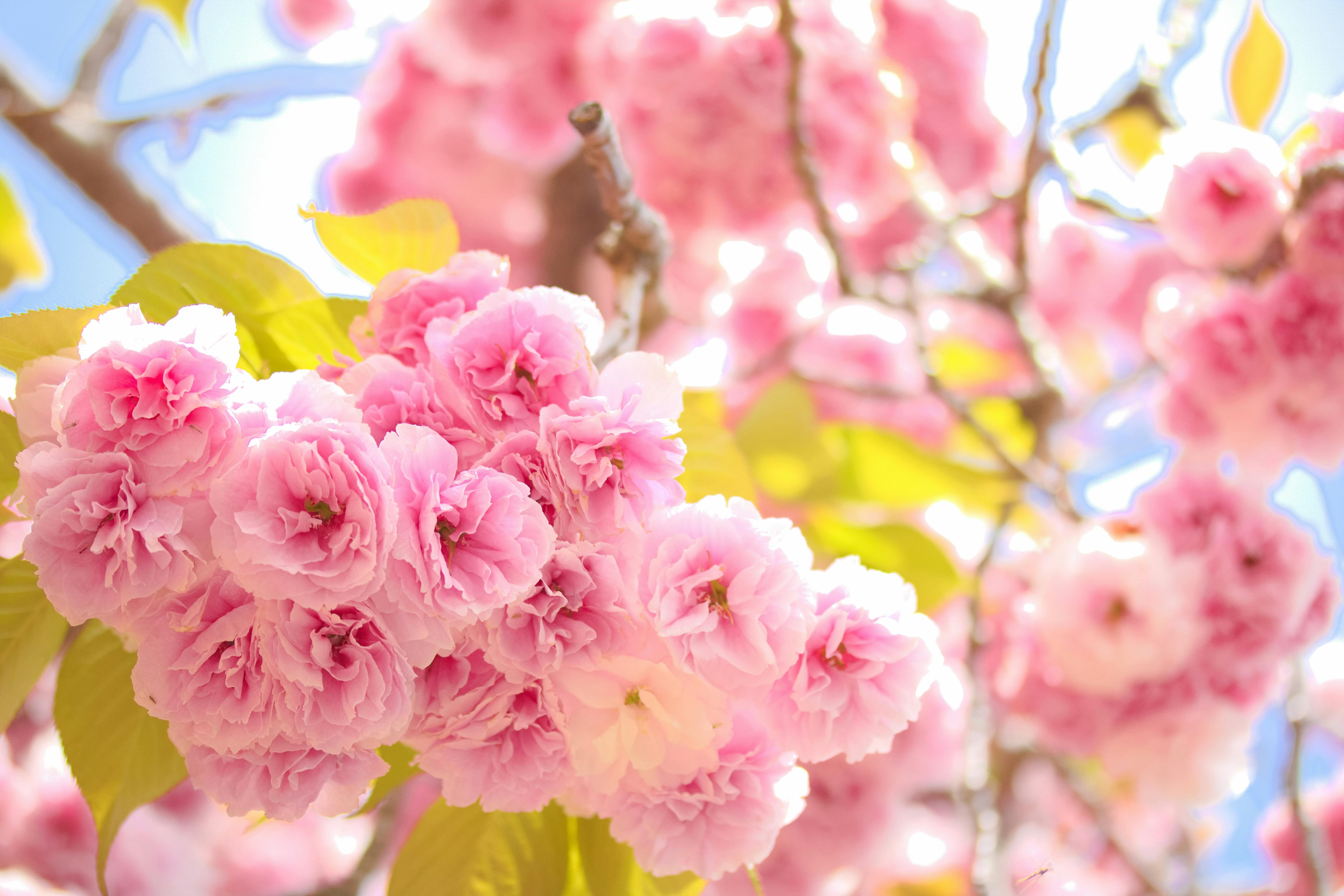 Meijo Park in Nagoya: Highlights, Access & Tips - Trip To Japan