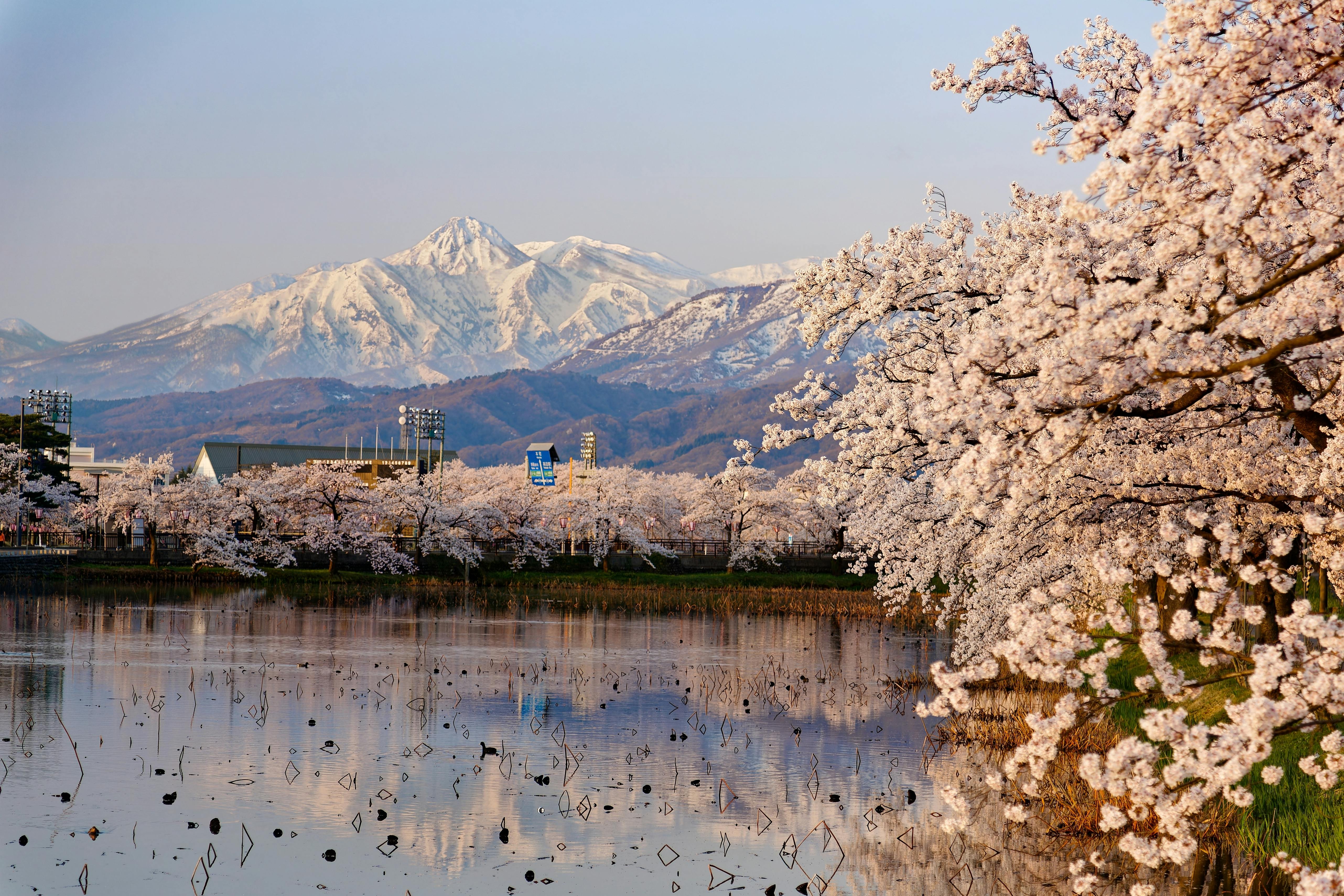 Joetsu City Tours & Attractions - Trip To Japan