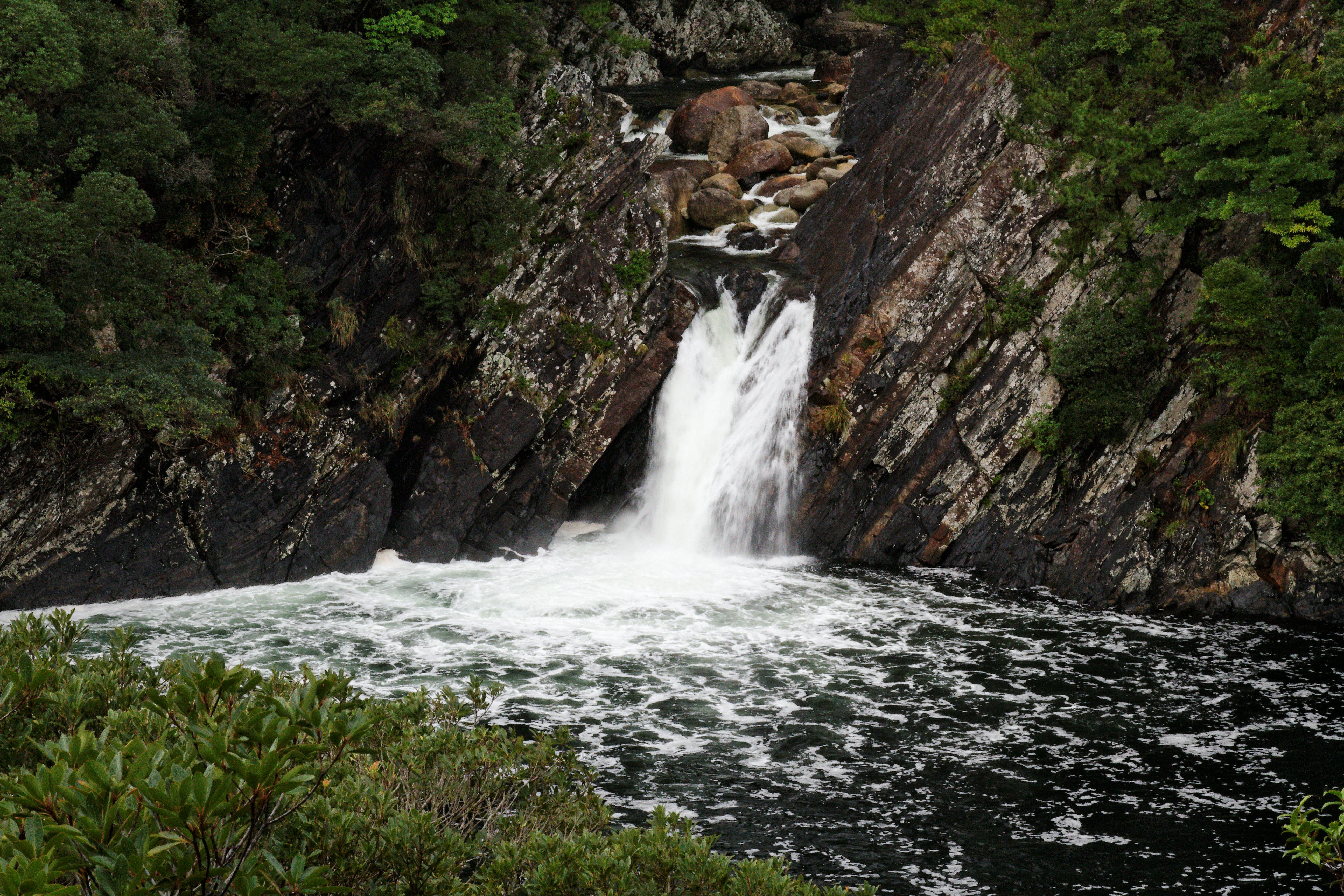 Toroki Falls in Yakushima: Highlights, Access & Tips - Trip To Japan