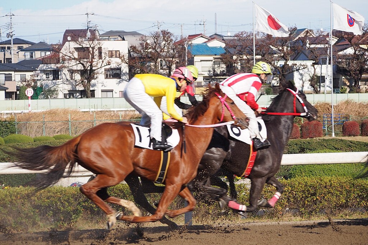 Urawa Racecourse - Trip To Japan