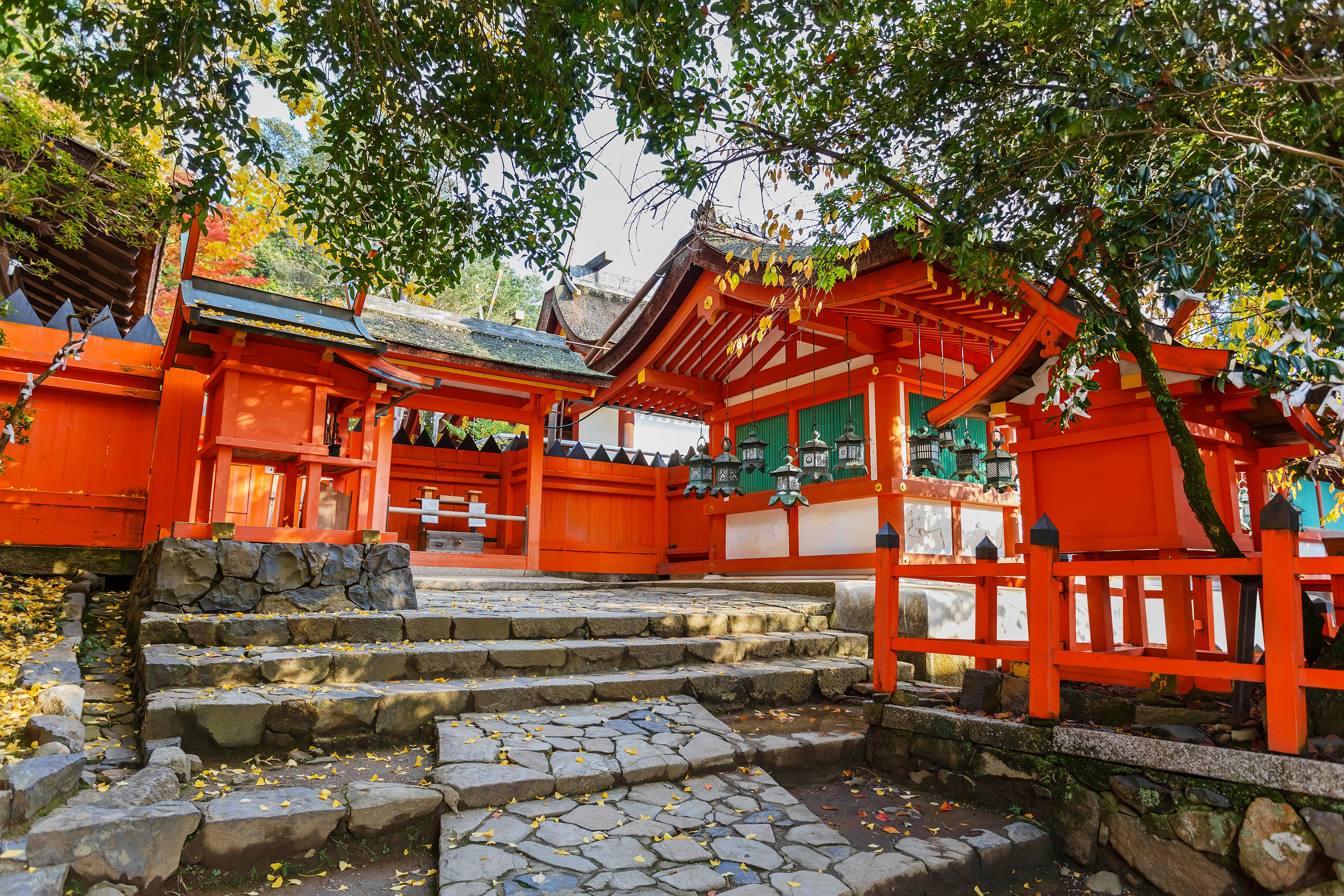 Full-day Nara: Deer, Temple, Shrine, activities & Tea Ceremony - Trip ...