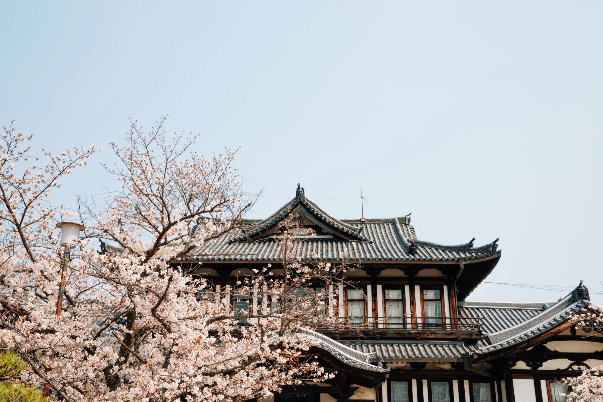 Koriyama Castle Ruins in Nara: History, Location & Tips - Trip To Japan