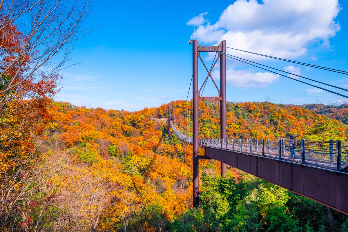Fumin no Mori Hoshida Park - Trip To Japan - Trip To Japan