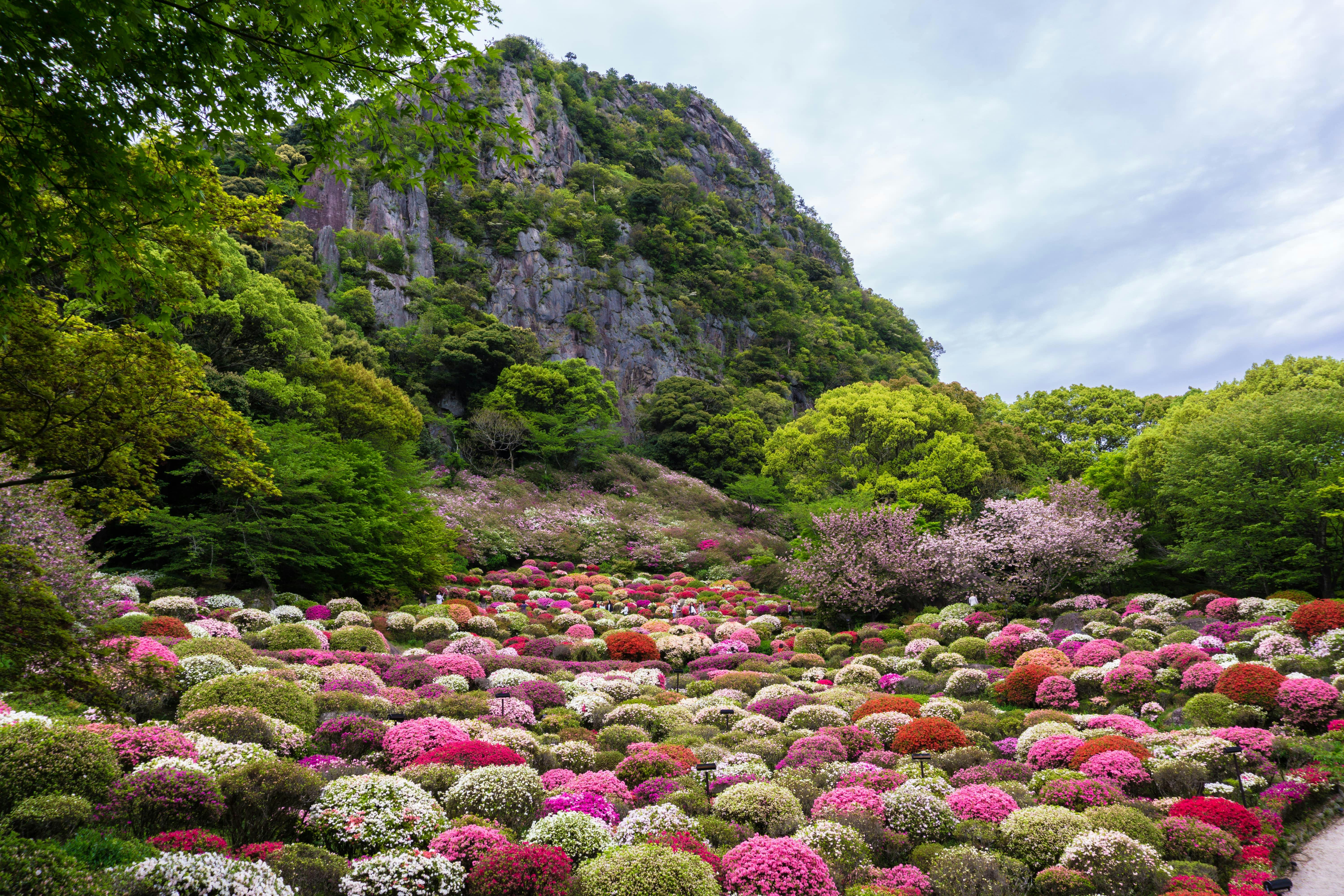 Saga Tours & Attractions - Trip To Japan