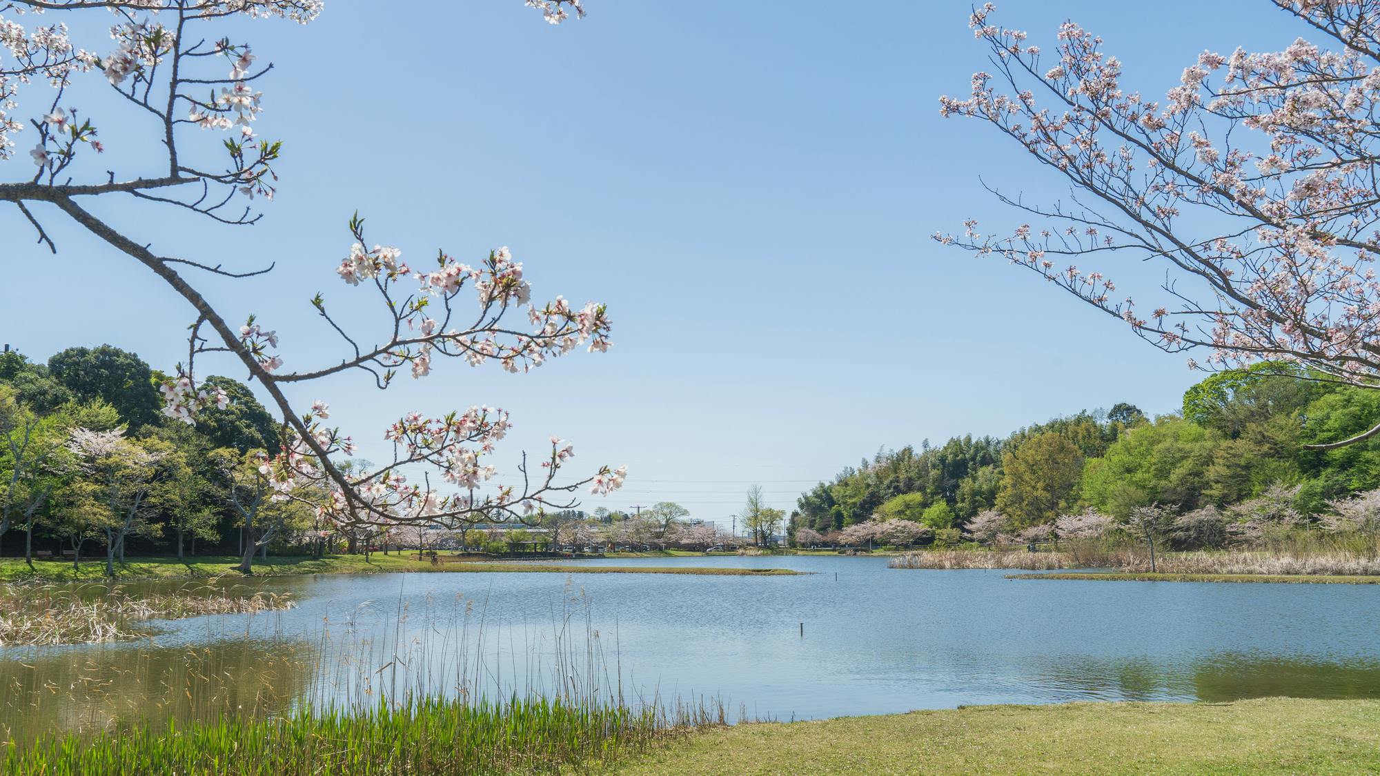 Travel Guide to Chiba Prefecture, Japan - Trip To Japan