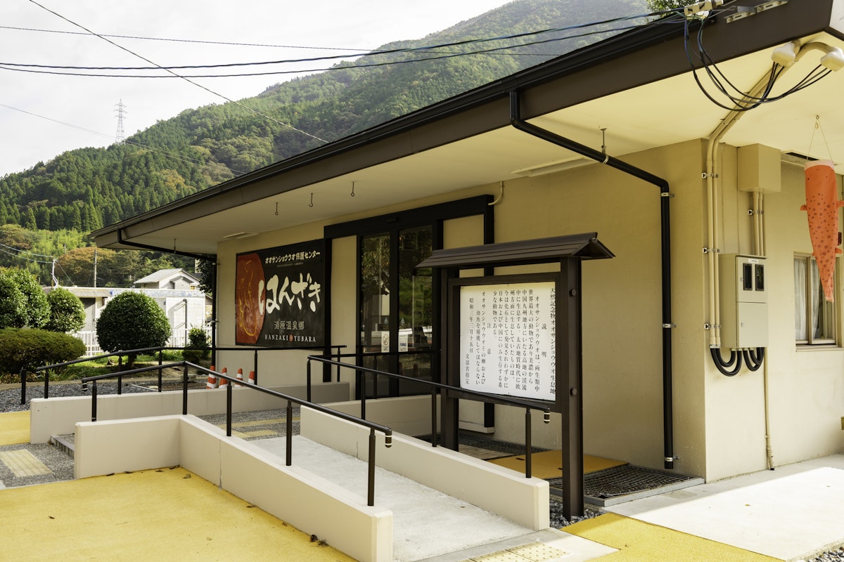 Hanzaki Center - Trip To Japan - Trip To Japan