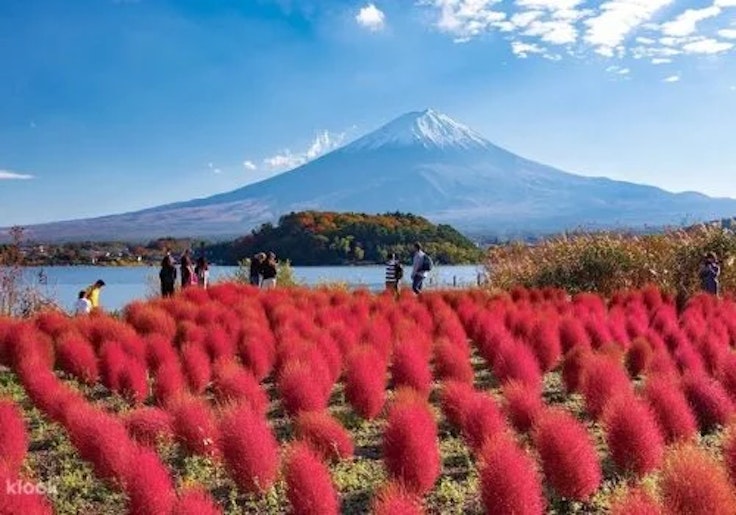 Mt Fuji Full Day Private Tour - Trip To Japan - Trip To Japan