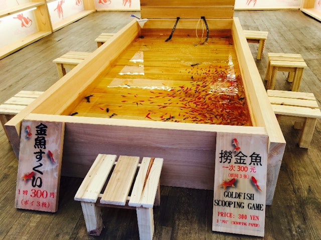 Asakusa Kingyo (goldfish scooping), Taito, Tokyo - Trip To Japan