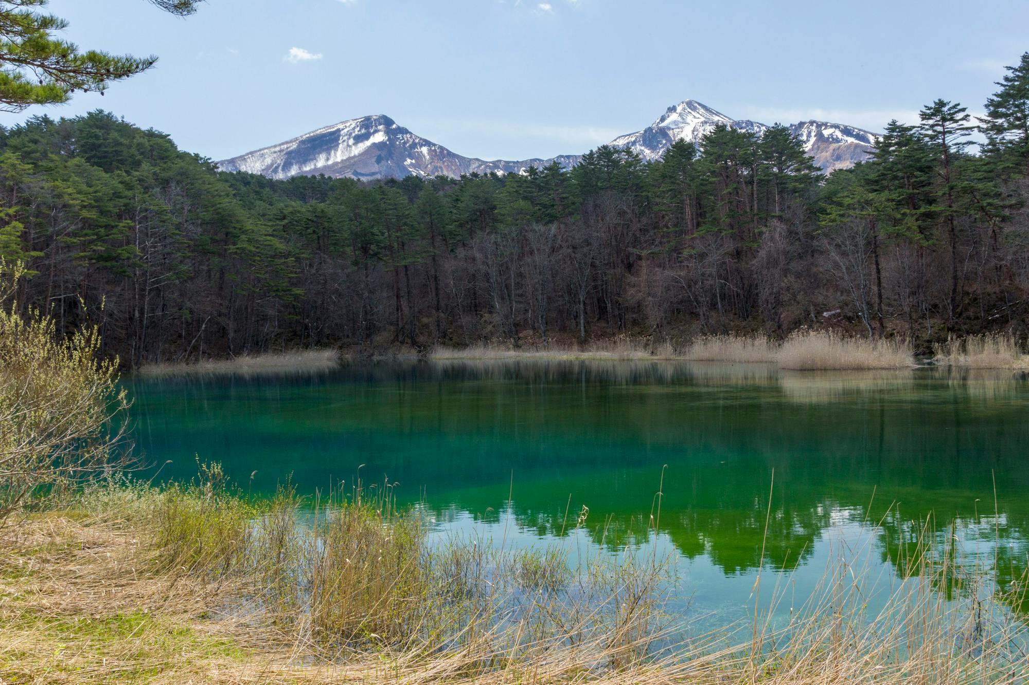Goshiki-numa Lake in Fukushima: Highlights, Access & Tips - Trip To Japan