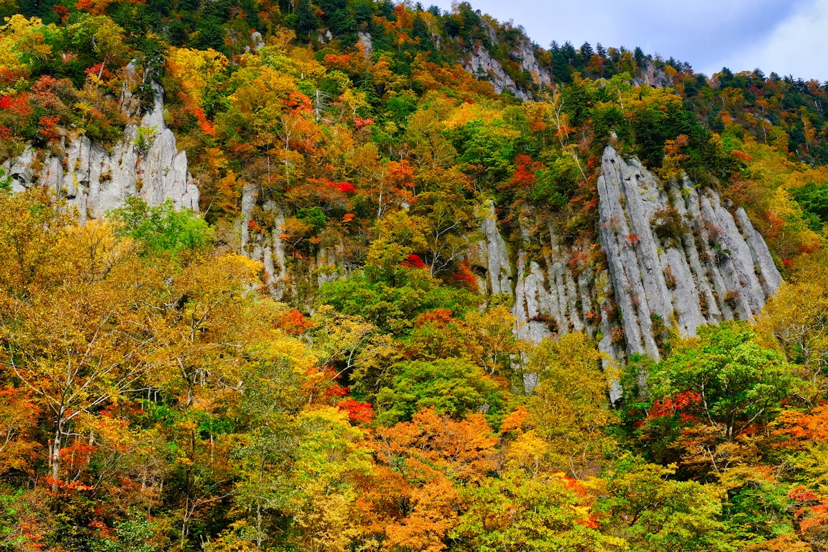 Tenjin Gorge - Trip To Japan - Trip To Japan
