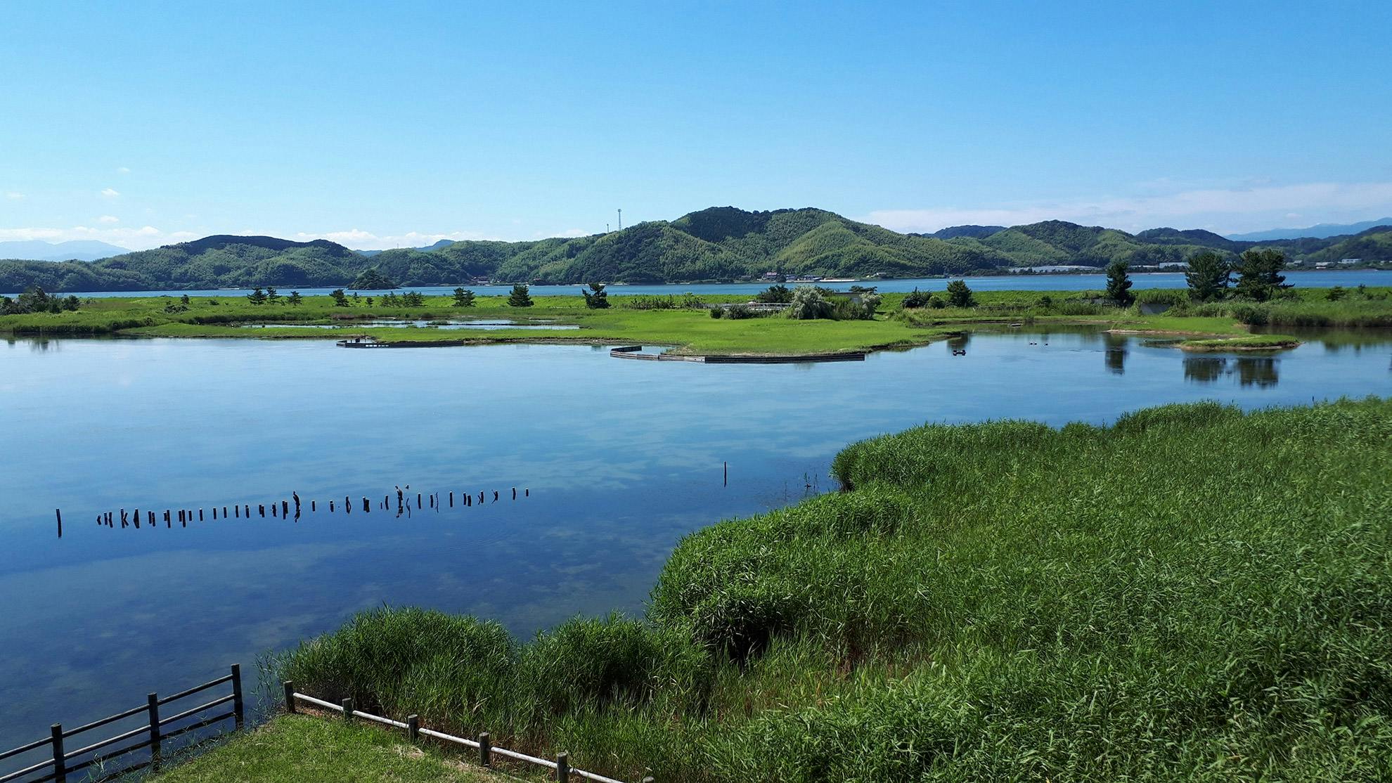 Yonago Waterbird Sanctuary - Trip To Japan - Trip To Japan