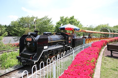 Shibukawa Skyland Park - Trip To Japan - Trip To Japan