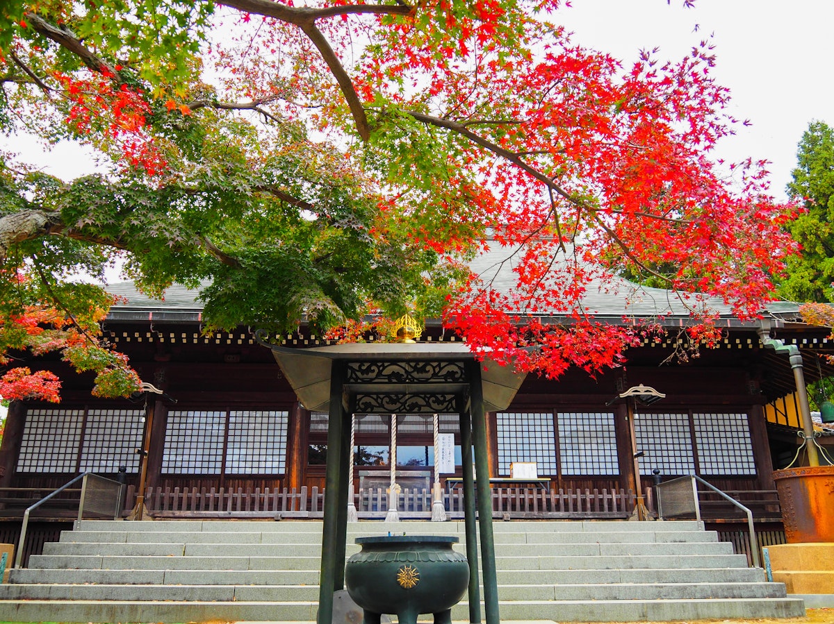 Hondoji Temple - Trip To Japan - Trip To Japan