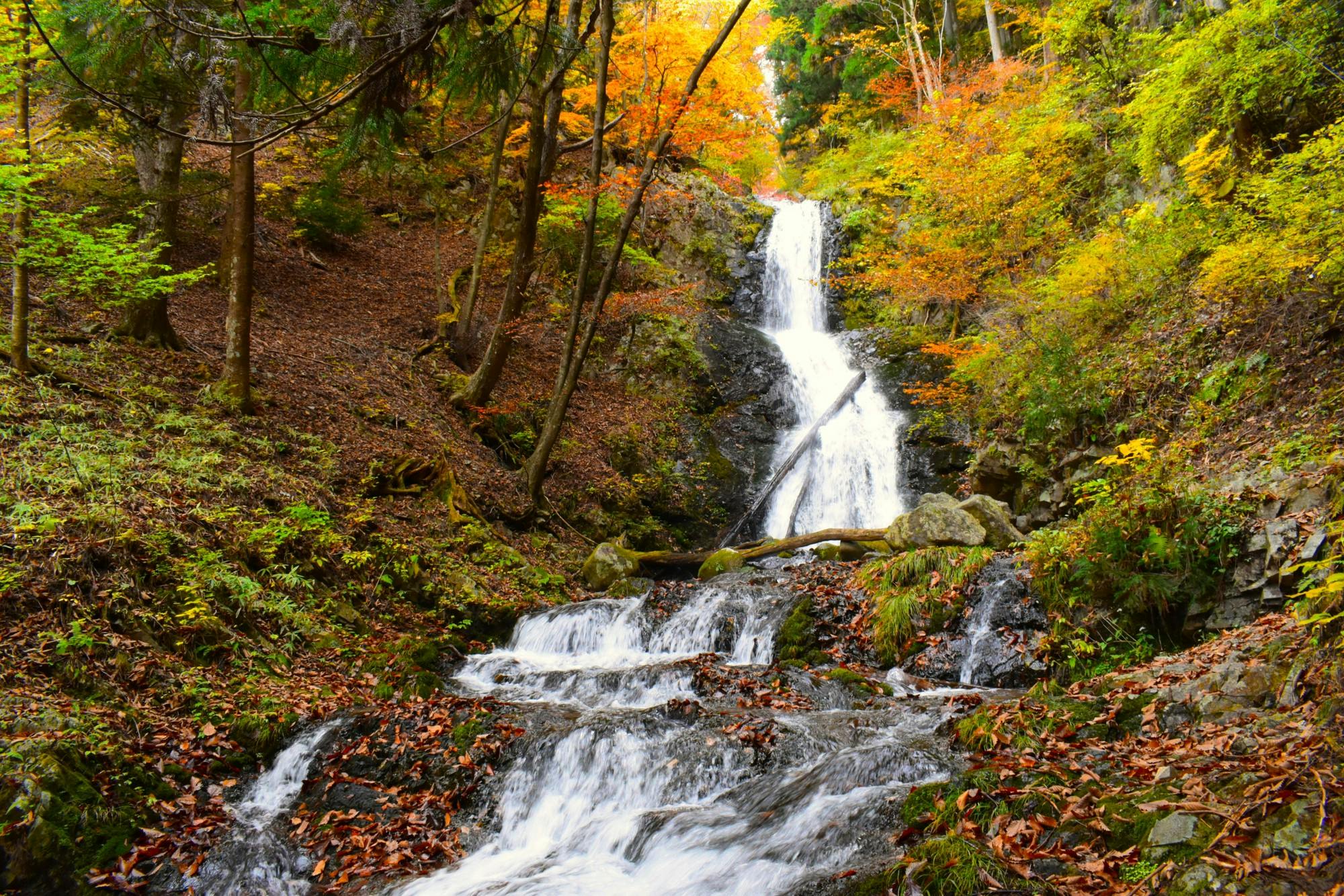 Jakko Waterfall, Nikko, Tochigi - Trip To Japan