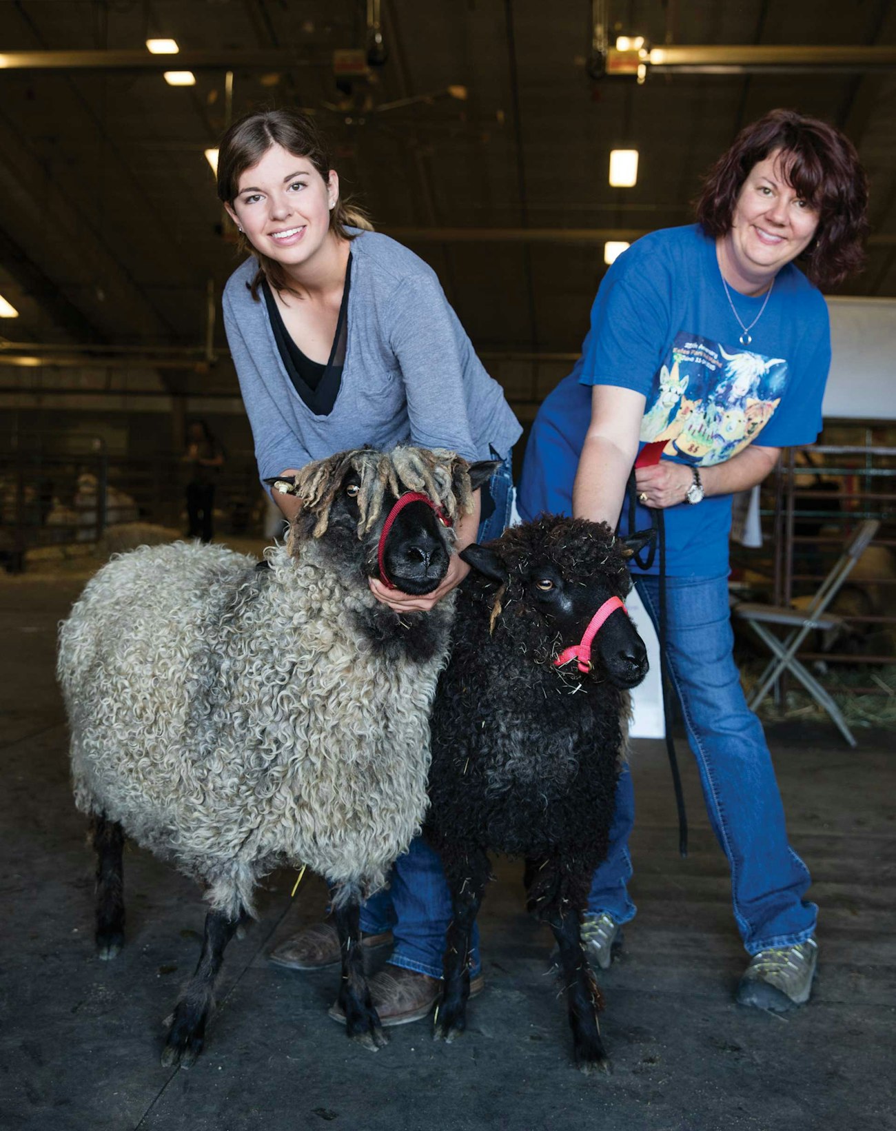 Welcome to the Sheep Barn | Farm & Fiber Knits