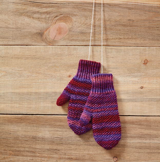 Mittens from the Mitten State | Farm & Fiber Knits Library